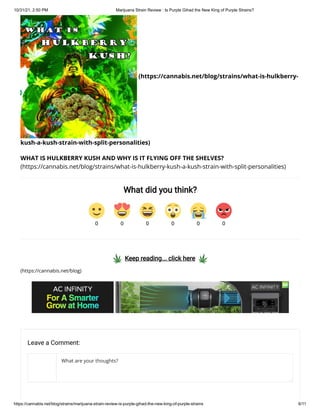 The Purple Gihad Cannabis Strain Review | PDF