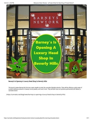 The Purple Gihad Cannabis Strain Review | PDF