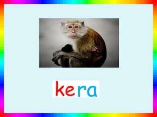 Mari mengeja suku kata kvkv. | PPT