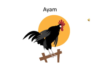 Mari mengenal bunyi haiwan | PPTX