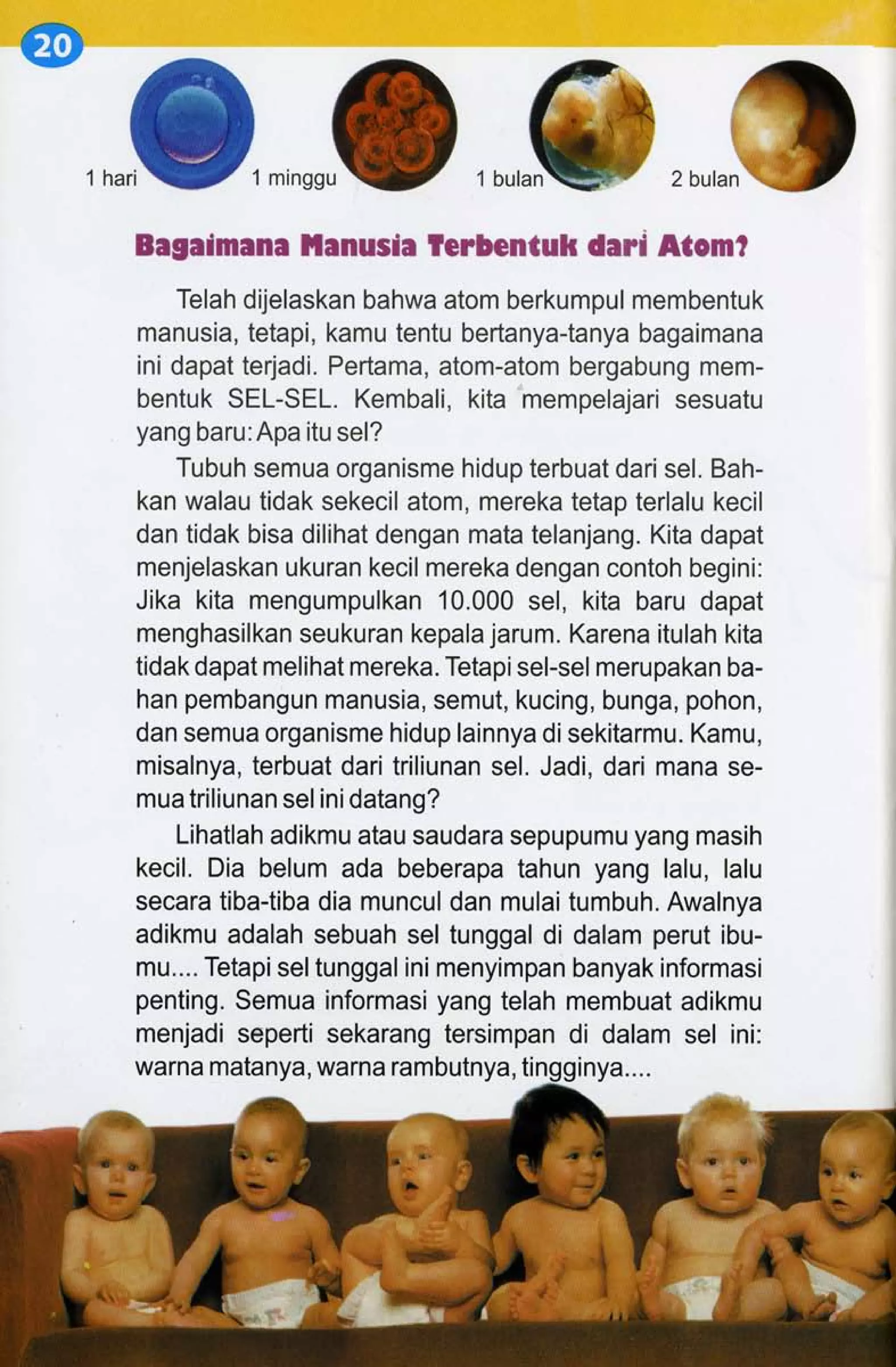 Mari menyelidiki kekeliruan teori evolusi. indonesian. bahasa indonesia ...