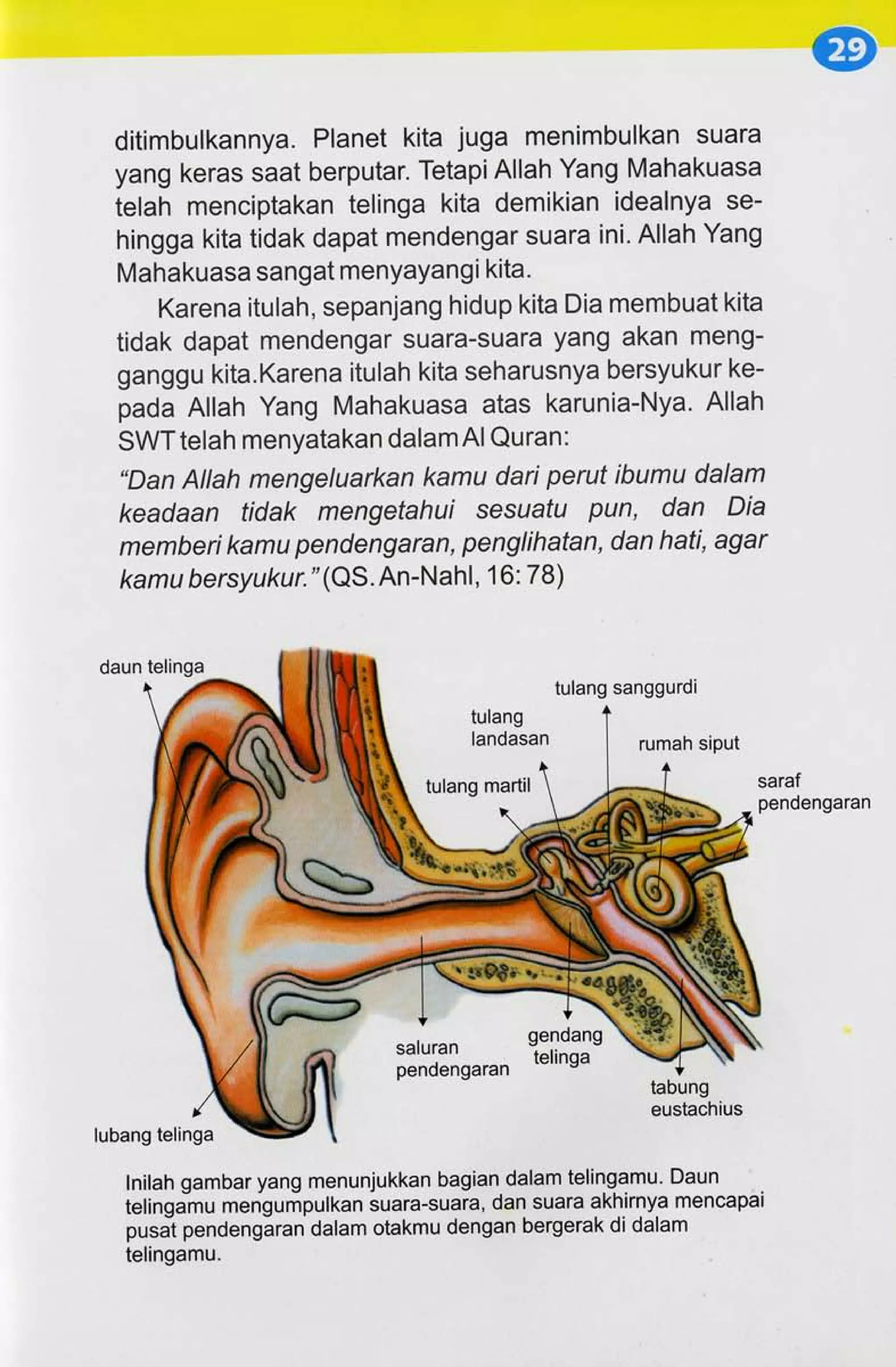 Mari menyelidiki kekeliruan teori evolusi. indonesian. bahasa indonesia ...