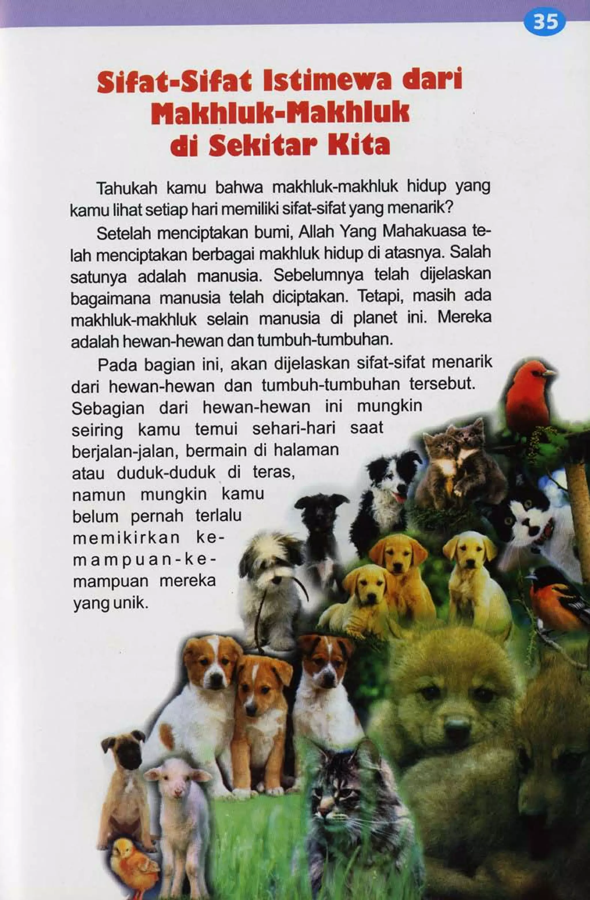 Mari menyelidiki kekeliruan teori evolusi. indonesian. bahasa indonesia ...