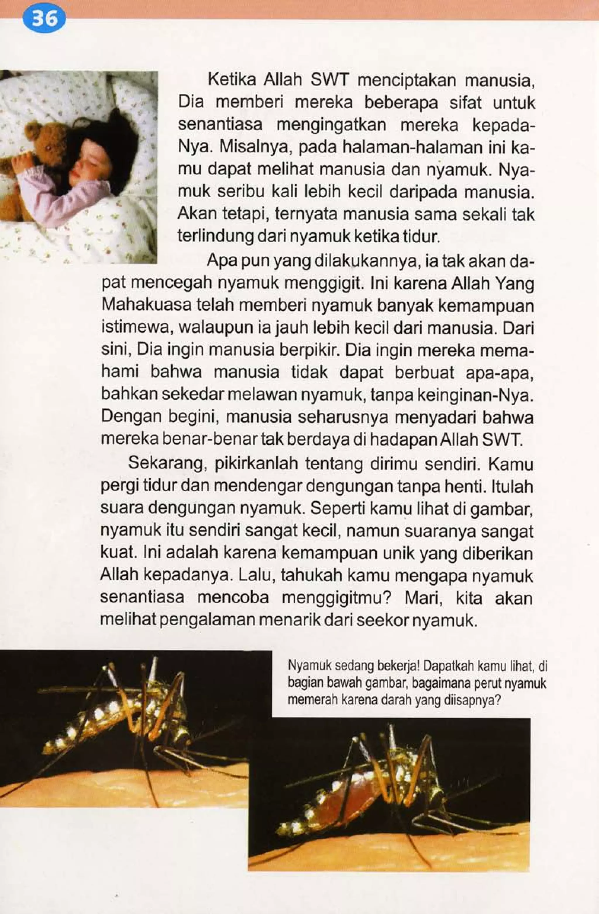 Mari menyelidiki kekeliruan teori evolusi. indonesian. bahasa indonesia ...