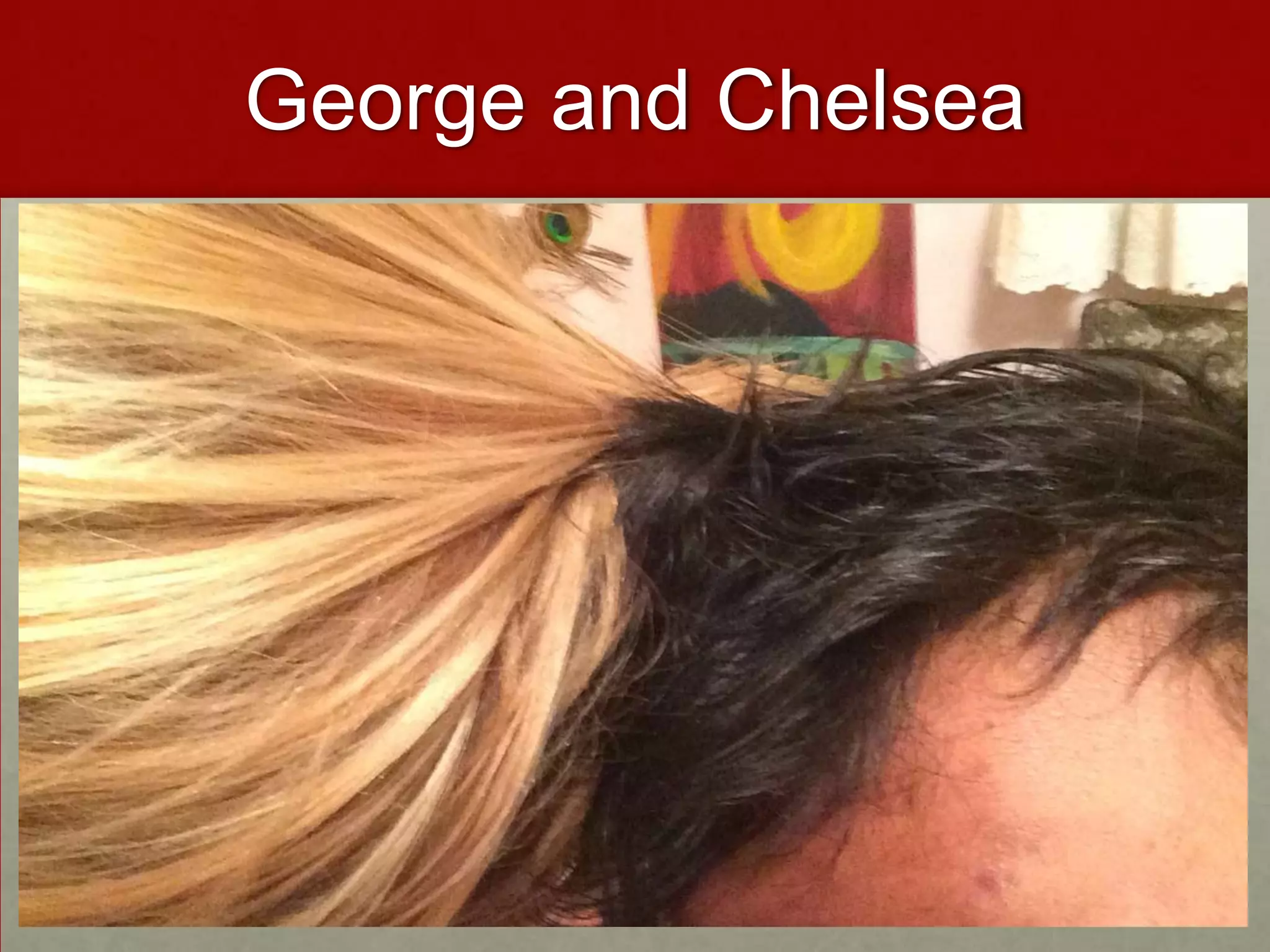 Chelsea Merlo and George Reyes - Marina abramovic | PPTX