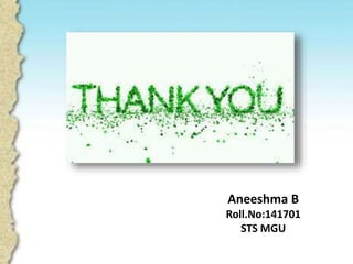 Marina and development process | PPTX