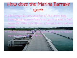 Marina barrage | PPT