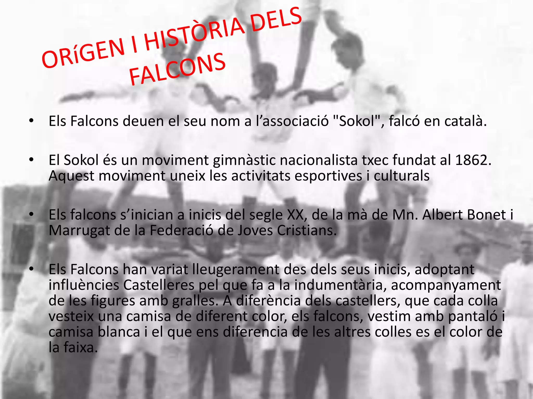 Marina Farrera - Falcons | PPTX