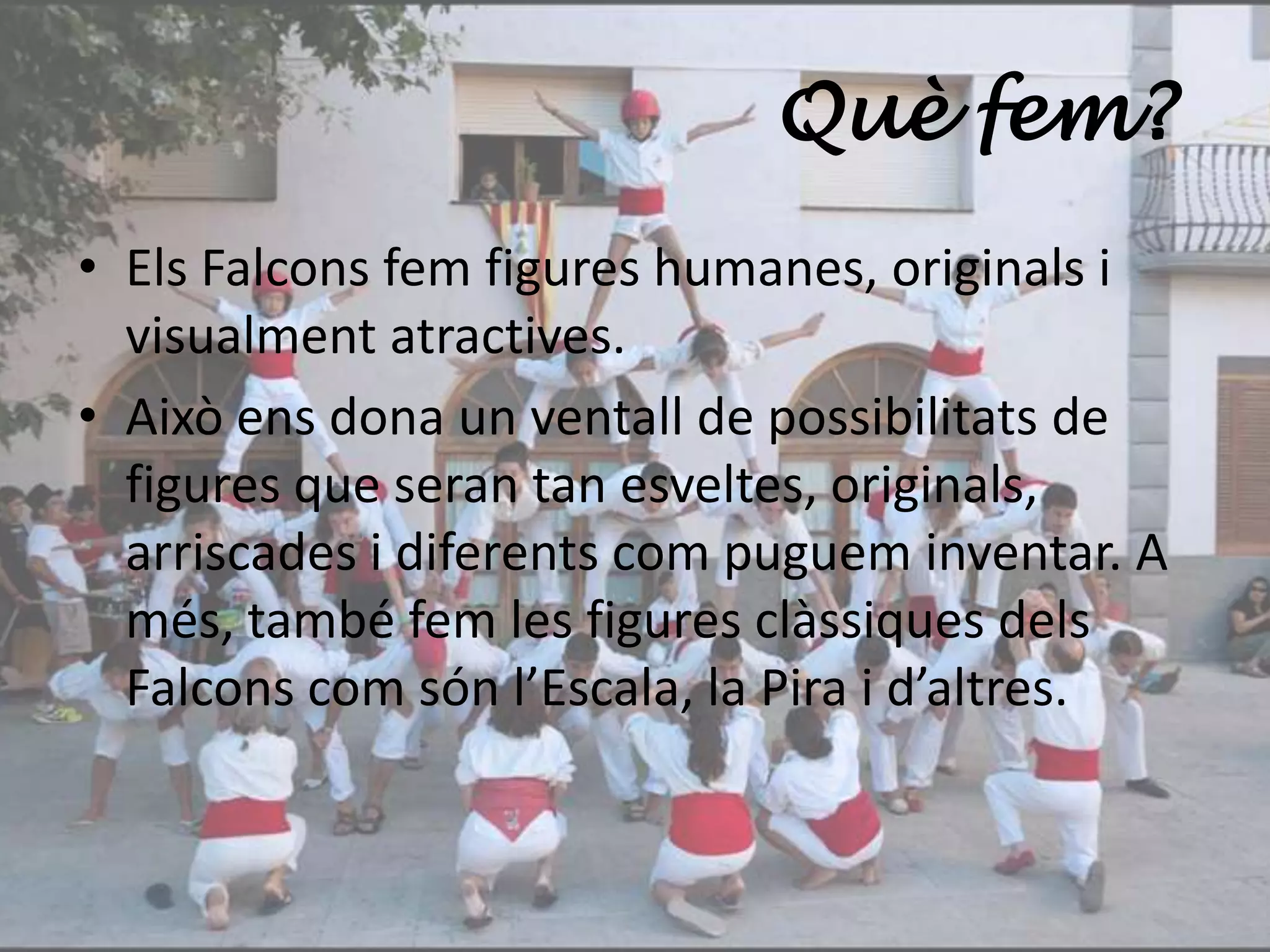 Marina Farrera - Falcons | PPTX