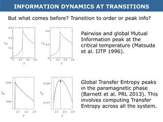 Information transfer in dynamical models implemented on the brain ...