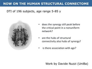 Information transfer in dynamical models implemented on the brain ...