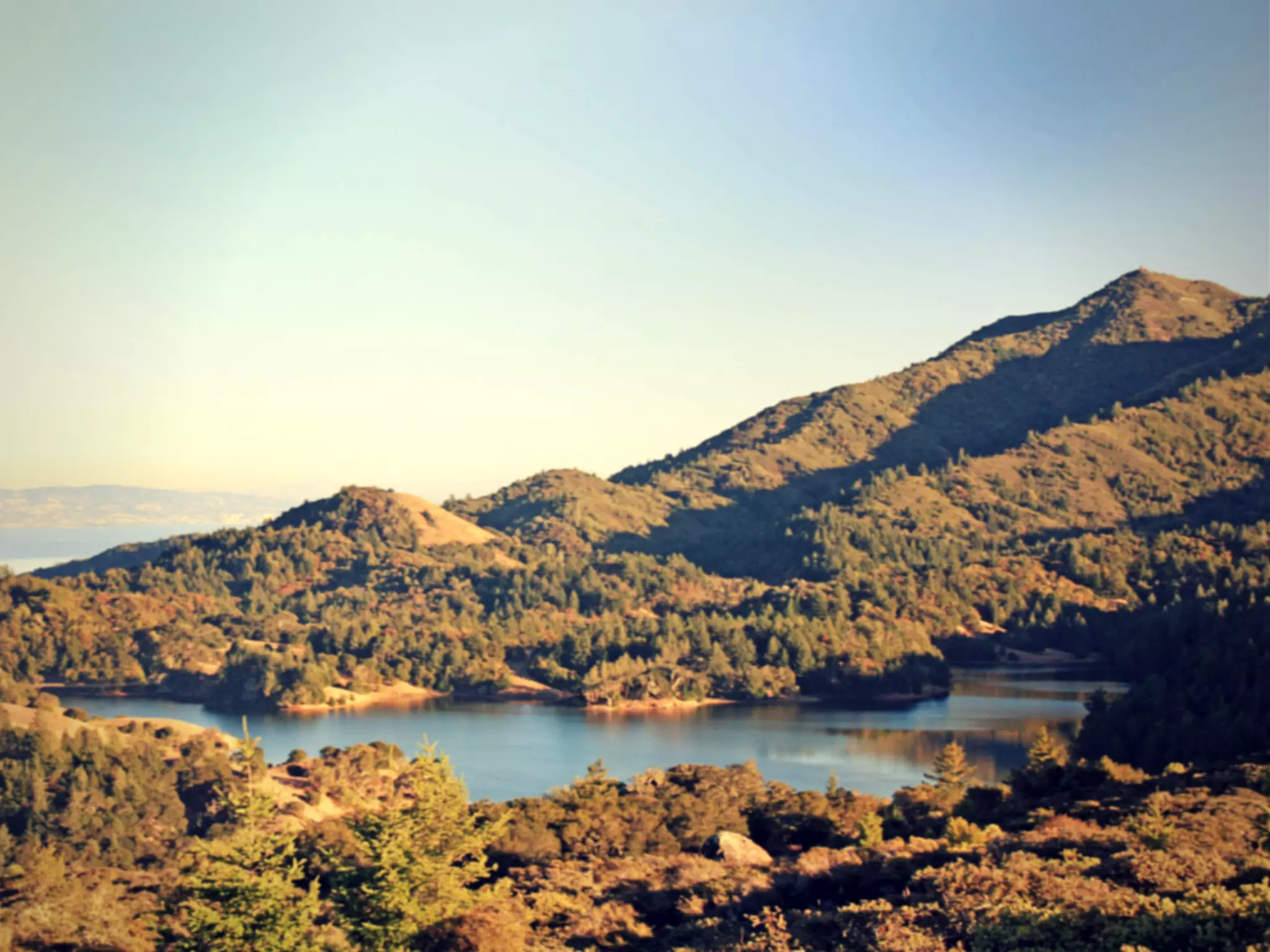 Marin County Landscape | PDF