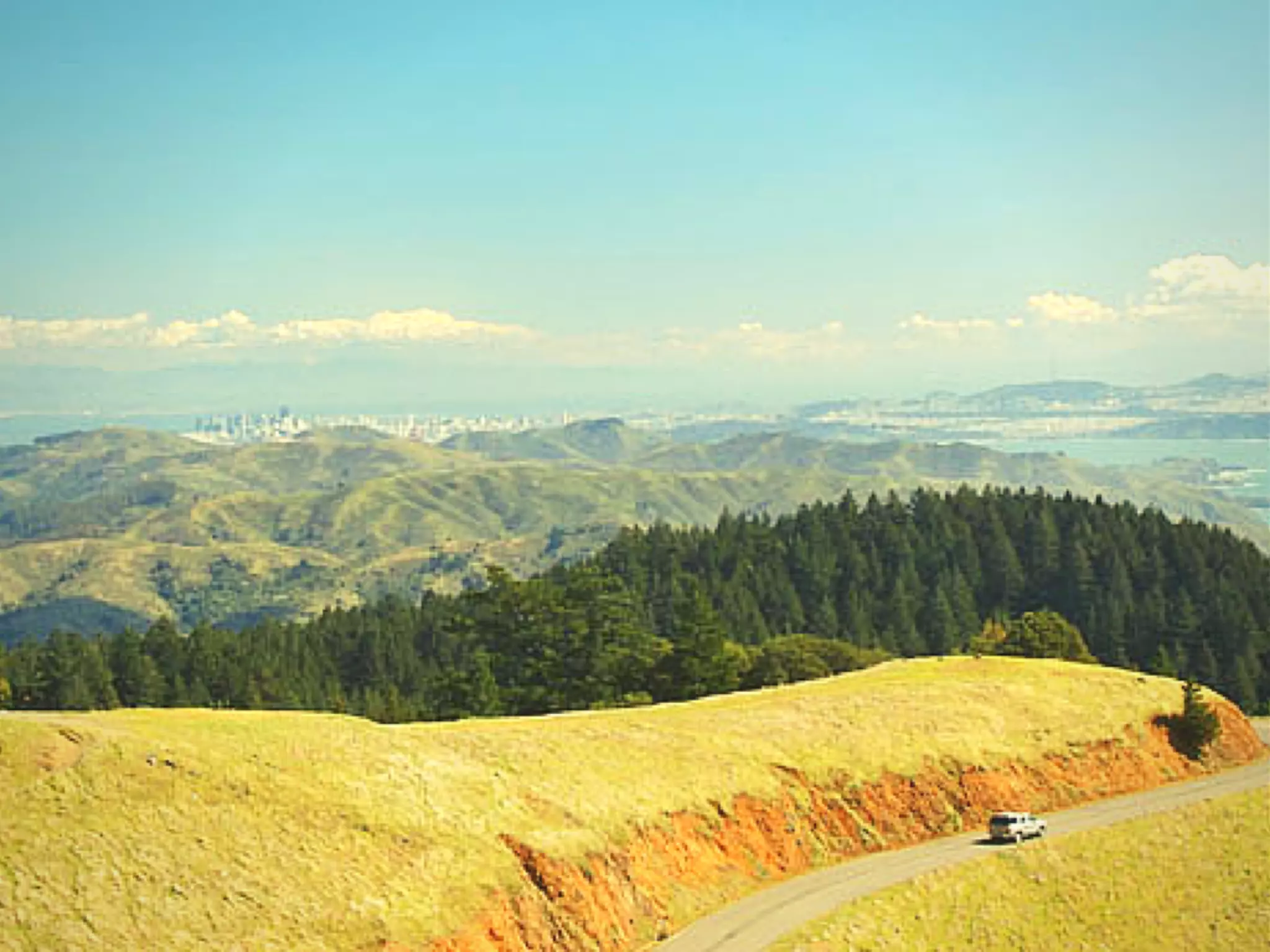 Marin County Landscape | PDF