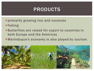 Marinduque | PPTX