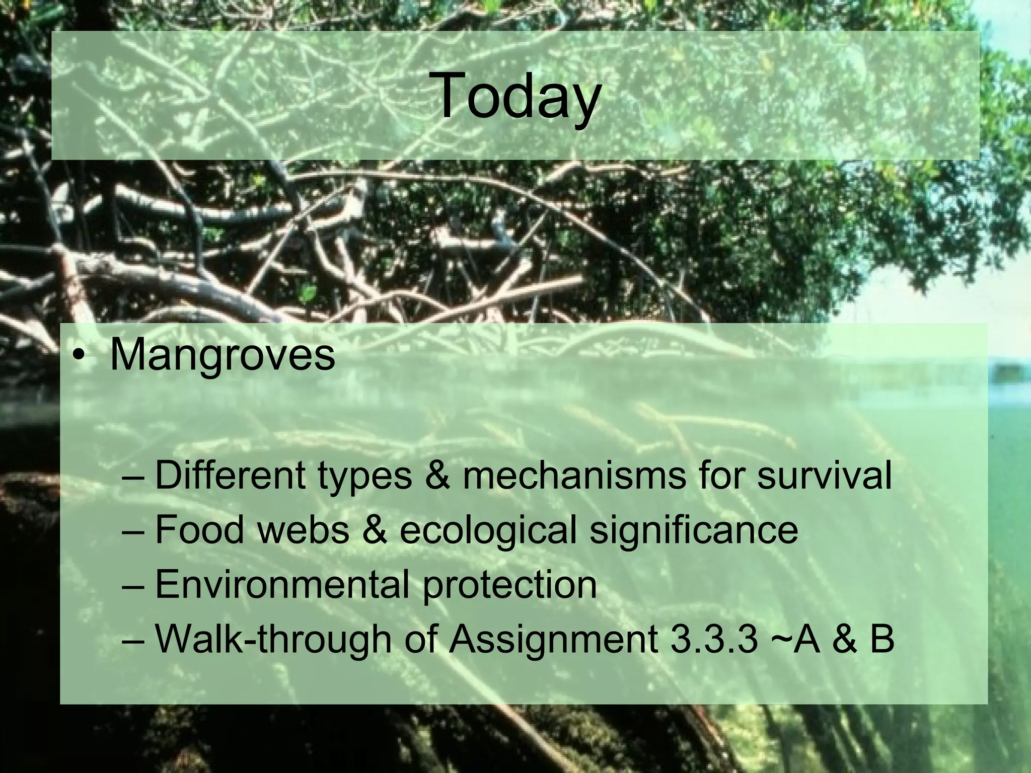 Mangroves | PPT