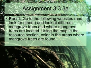 Mangroves | PPT