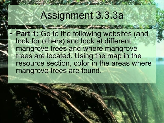 Mangroves | PPT