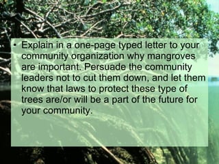 Mangroves | PPT
