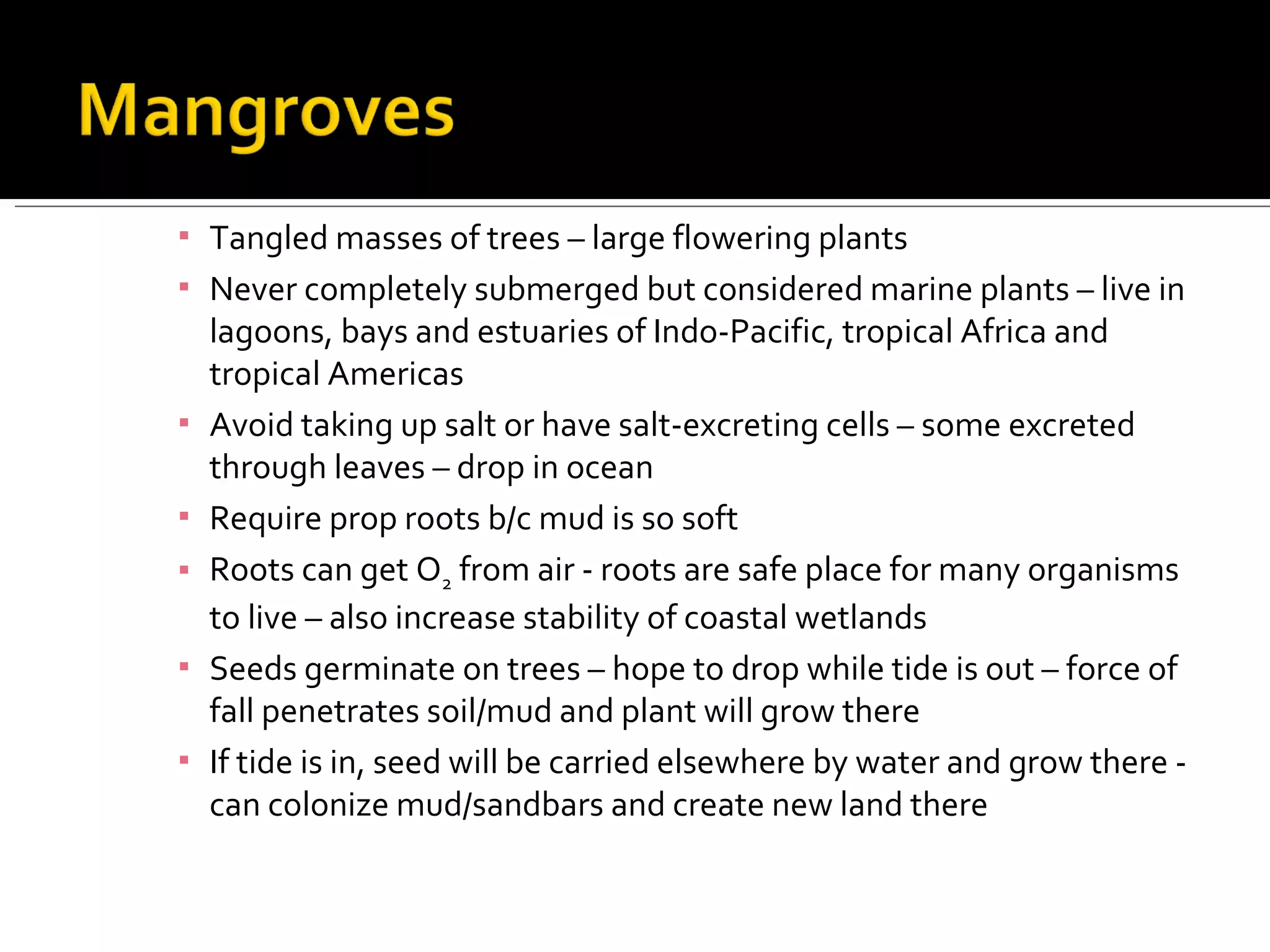 Marine Plants | PPT