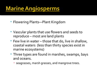 Marine Plants | PPT
