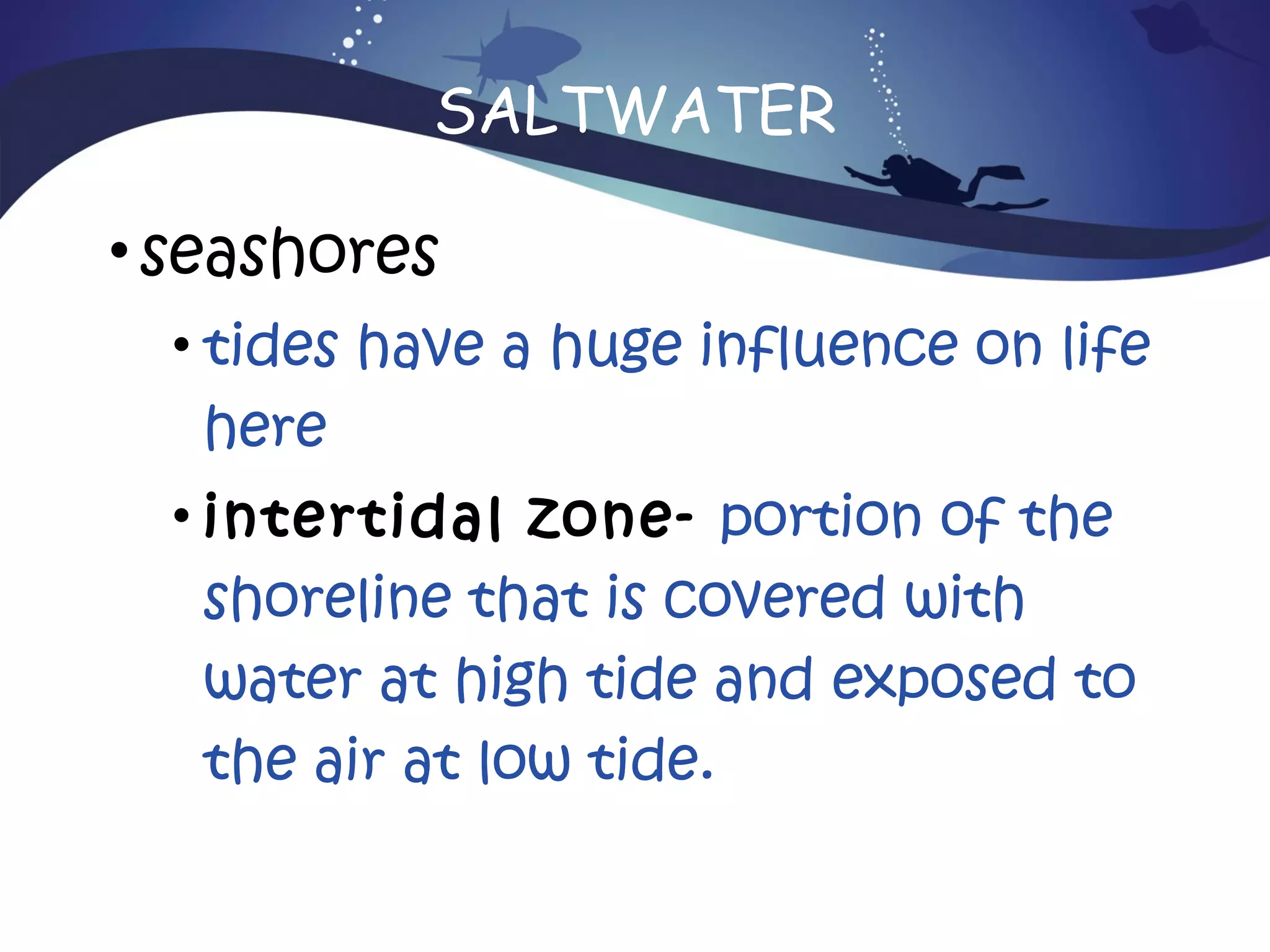 Marine Biomes | PPT