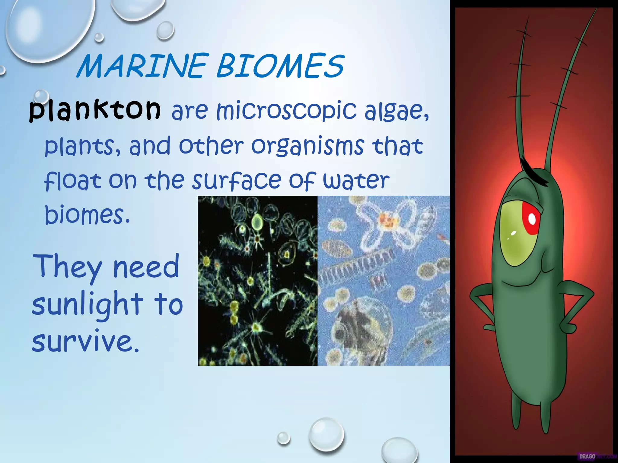 Marine Biomes | PPT