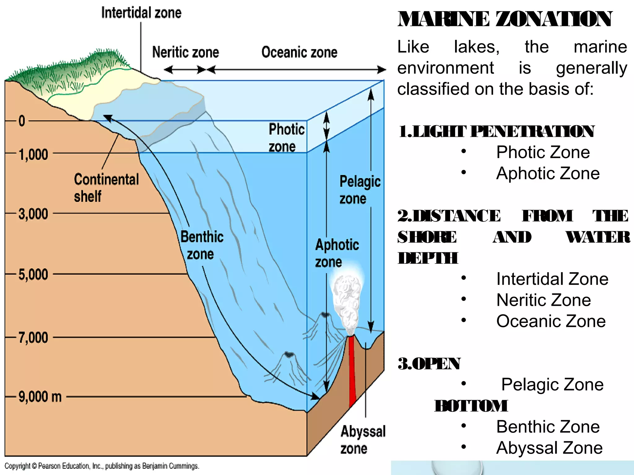 Marine Biomes | PPT
