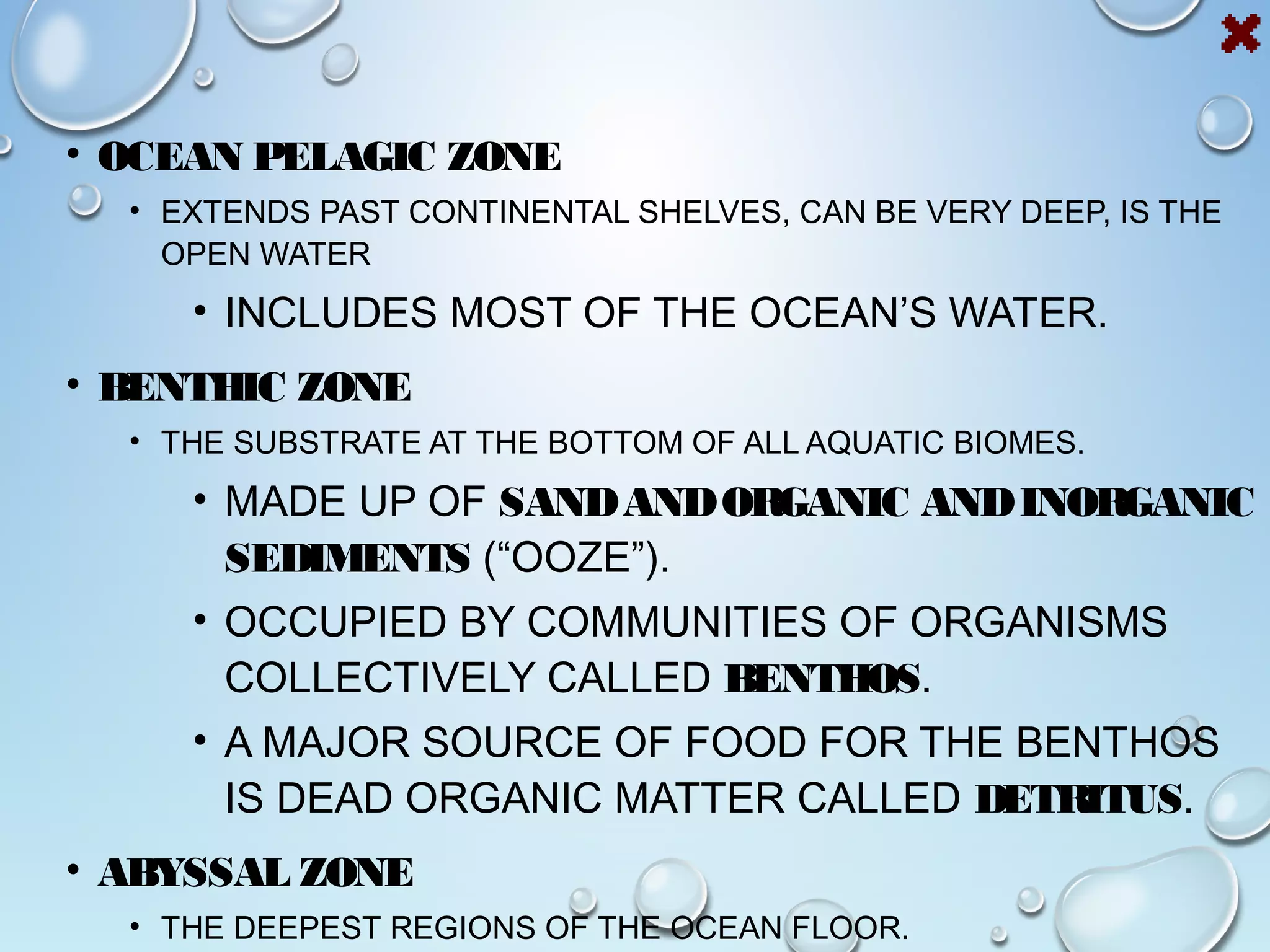 Marine Biomes | PPT