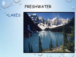Marine Biomes | PPT