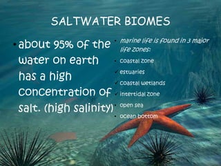 Bathyal Zone Biome