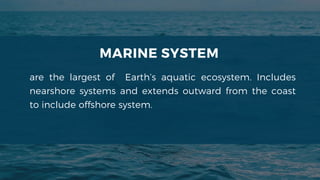 MARINE-AND-COASTAL.pptx | Weather | Science