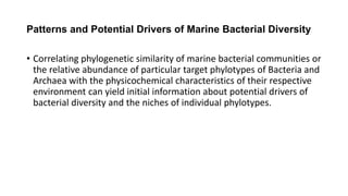 Marine-Bacteria-and-Archaea presentation | PPTX