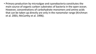 Marine-Bacteria-and-Archaea presentation | PPTX