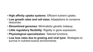 Marine-Bacteria-and-Archaea presentation | PPTX