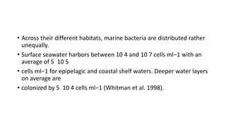 Marine-Bacteria-and-Archaea presentation | PPTX