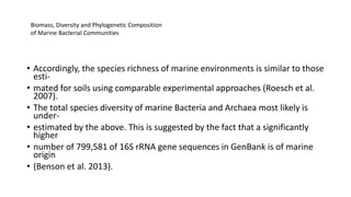 Marine-Bacteria-and-Archaea presentation | PPTX