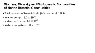 Marine-Bacteria-and-Archaea presentation | PPTX