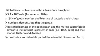Marine-Bacteria-and-Archaea presentation | PPTX