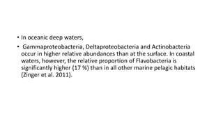 Marine-Bacteria-and-Archaea presentation | PPTX