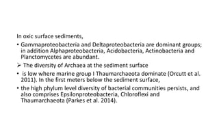 Marine-Bacteria-and-Archaea presentation | PPTX