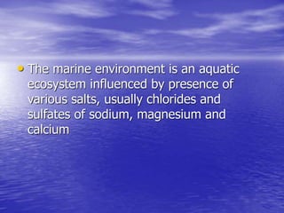 marine-ecosystems-bio.pptx