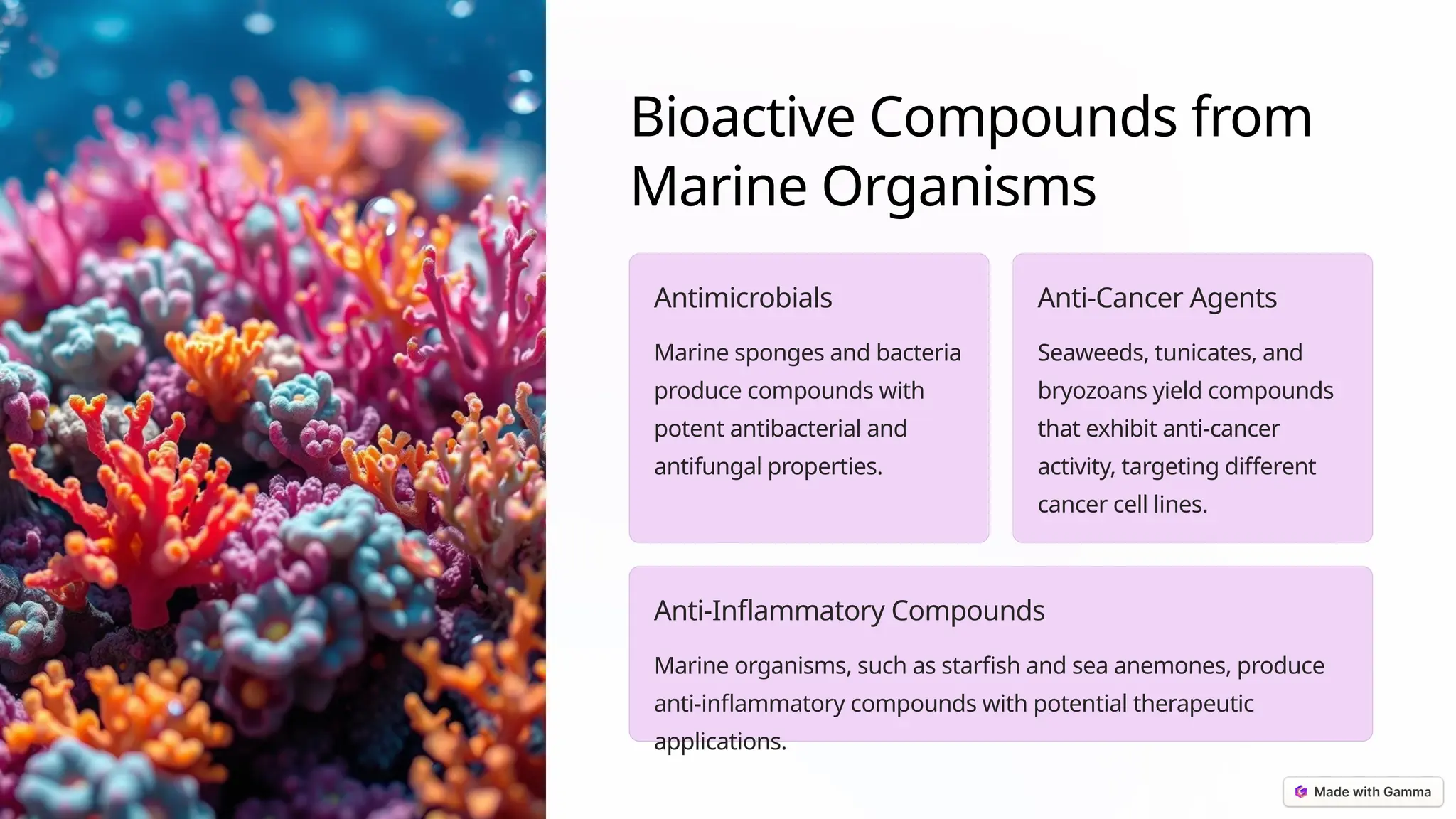 Marine-Natural-Products-A-Frontier-of-Discovery. | PPTX