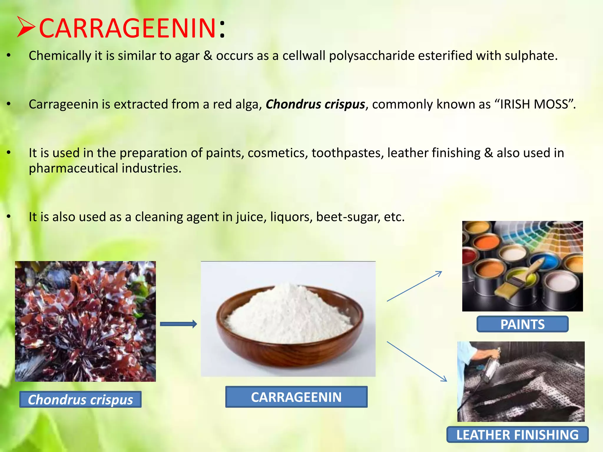 Role of marine algae in human welfare | PPTX