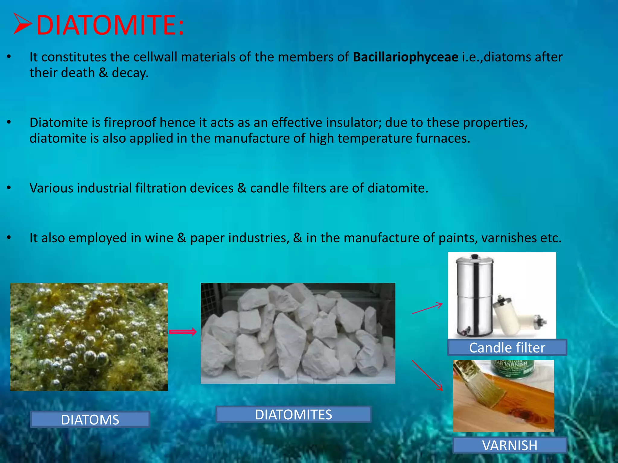 Role of marine algae in human welfare | PPTX