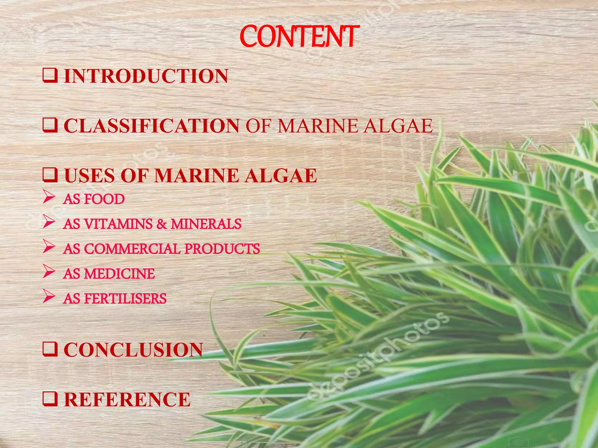 Role of marine algae in human welfare | PPTX