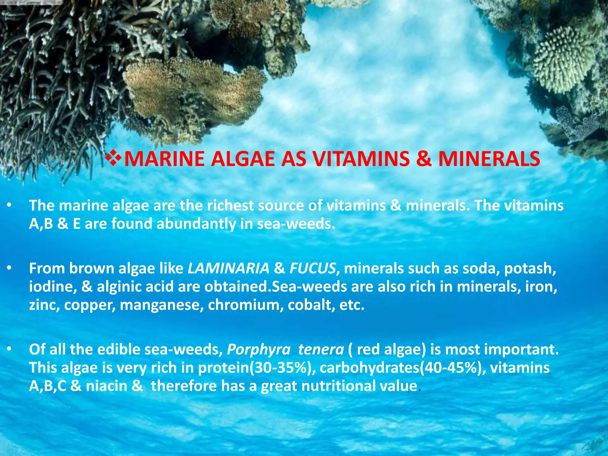 Role of marine algae in human welfare | PPTX