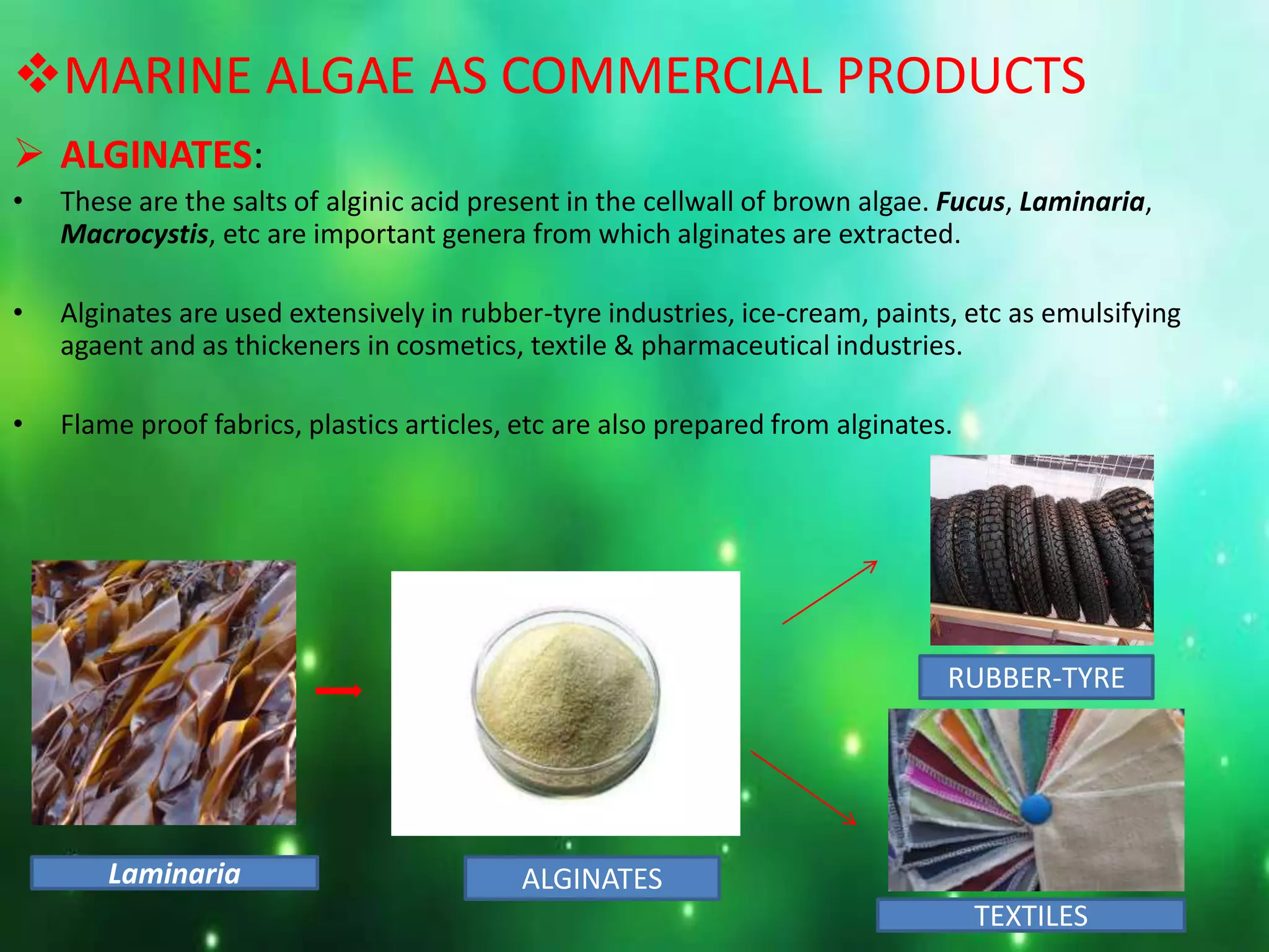 Role of marine algae in human welfare | PPTX