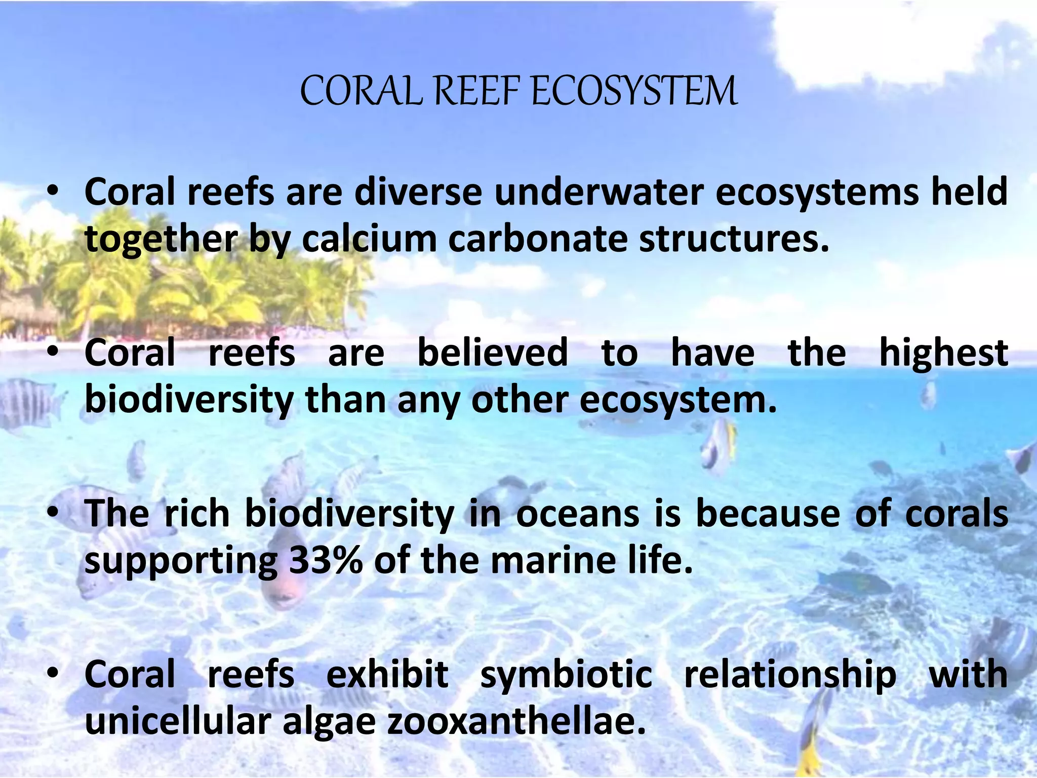 Marine and coastal ecosystems | PPTX