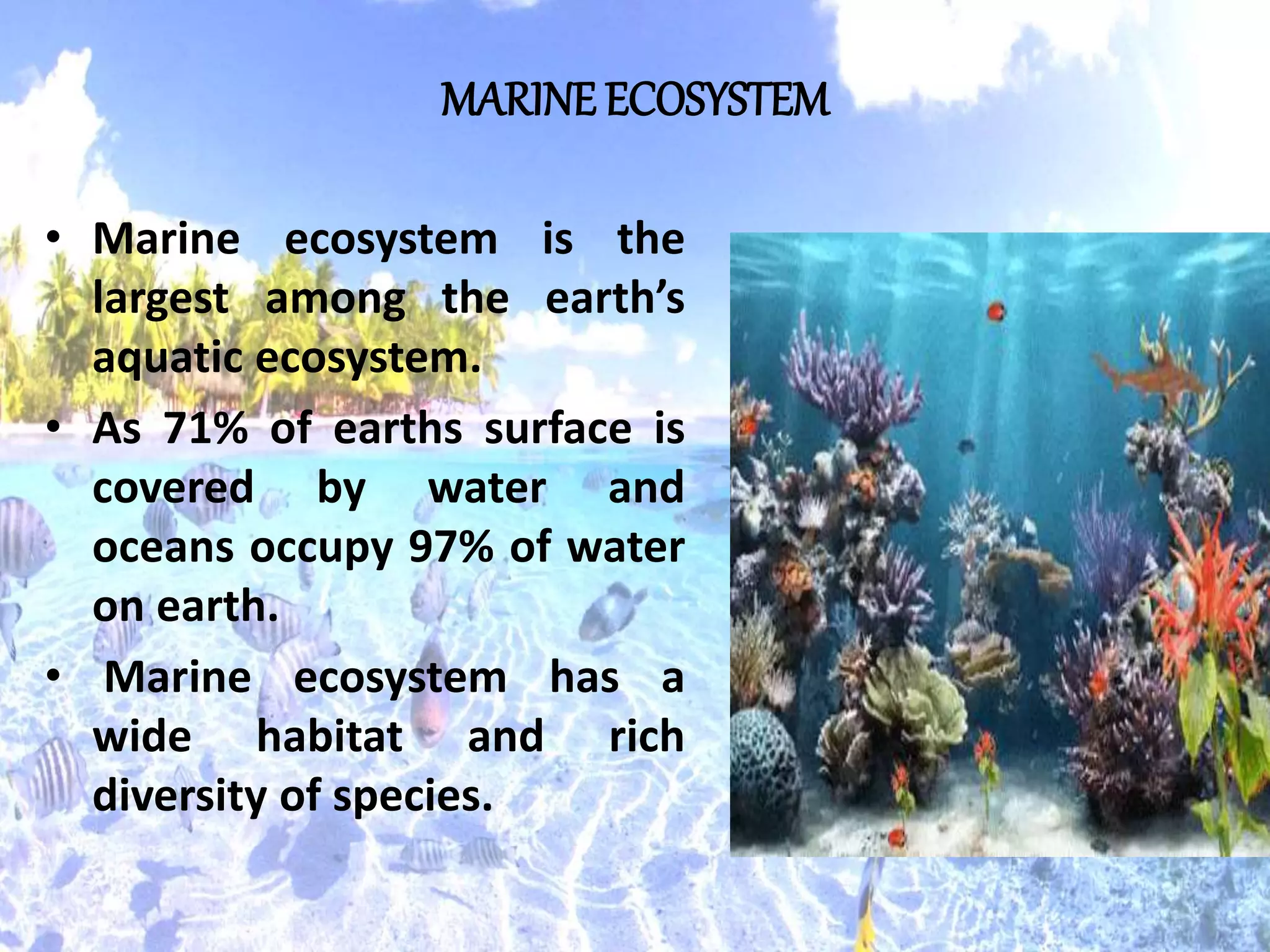Marine and coastal ecosystems | PPTX