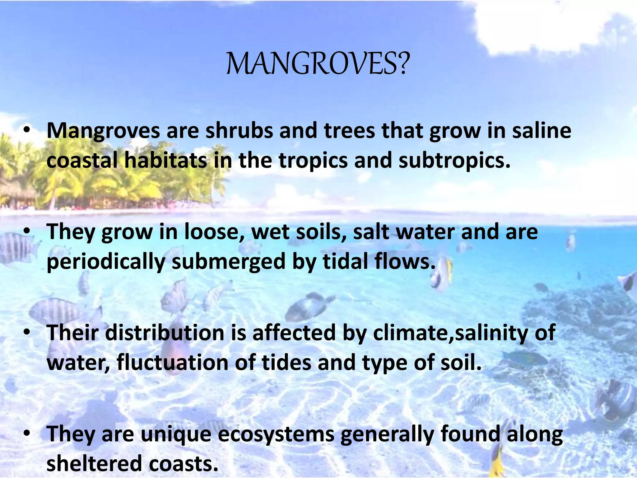 Marine and coastal ecosystems | PPTX